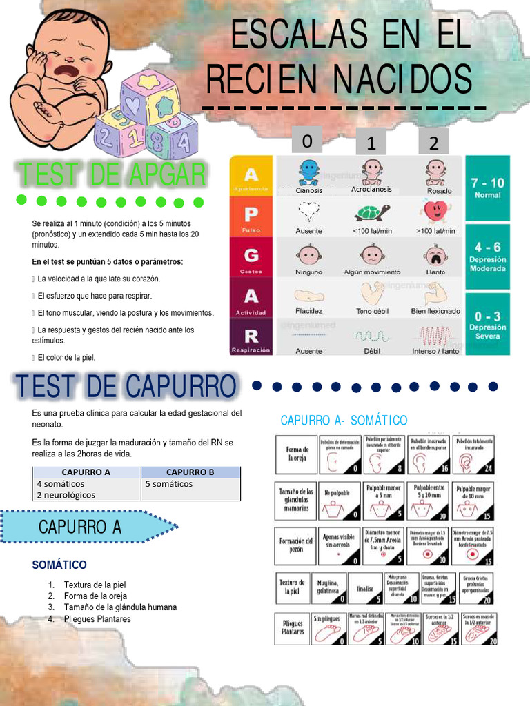 Escalas O Tests Recién Nacido Pdf
