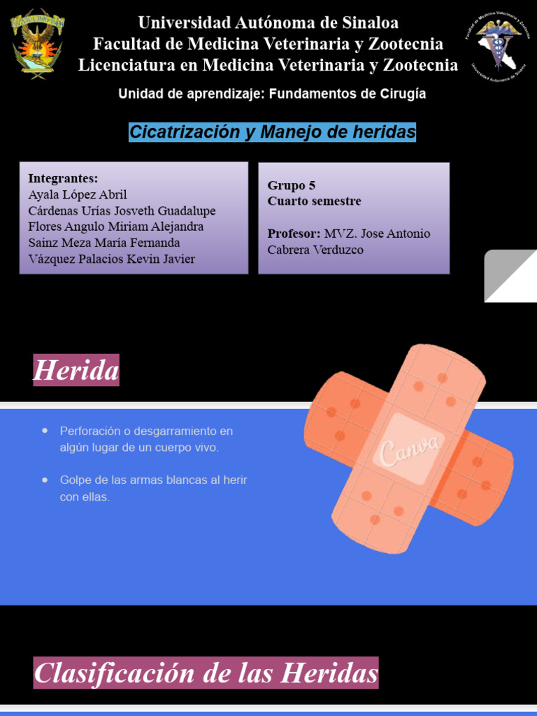 Cirugia | PDF | Cicatrización de la herida | Especialidades Medicas