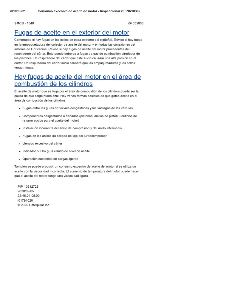 Consumo Excesivo De Aceite De Motor Inspeccionar Pdf