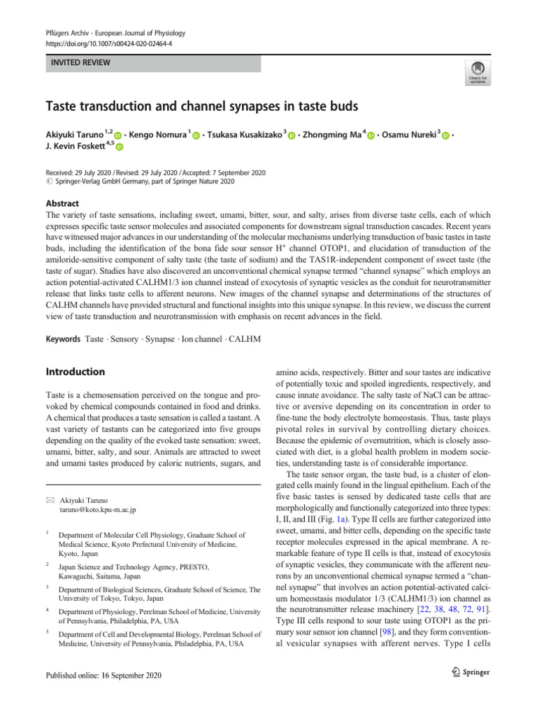 Taste Transduction and Channel Synapses in Taste Buds | PDF | Taste ...
