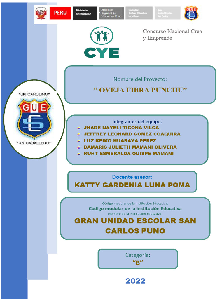 Cat. B - Proyecto de Emprendimiento | PDF