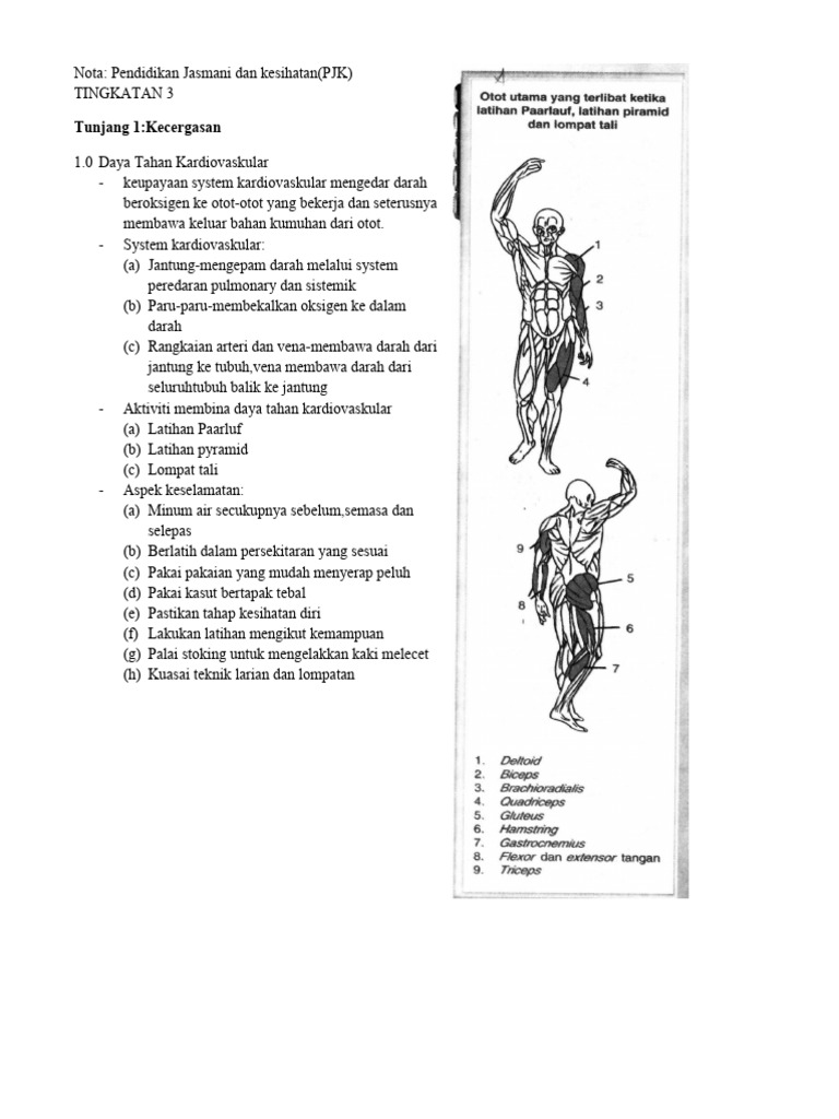 Nota Ringkas PJPK Ting 3 2023 | PDF