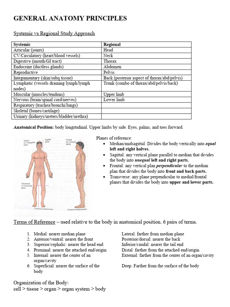 CH 1-GENERAL ANATOMY PRINCIPLES | PDF