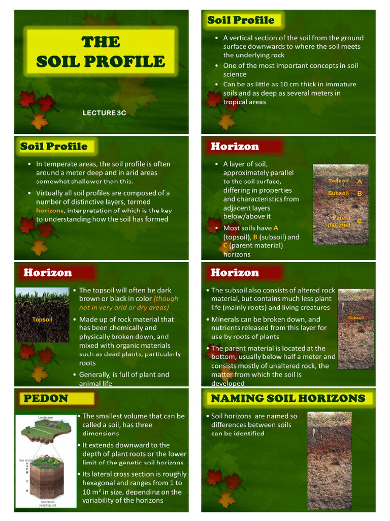 Lecture 3C Soil Profile HANDOUT | PDF