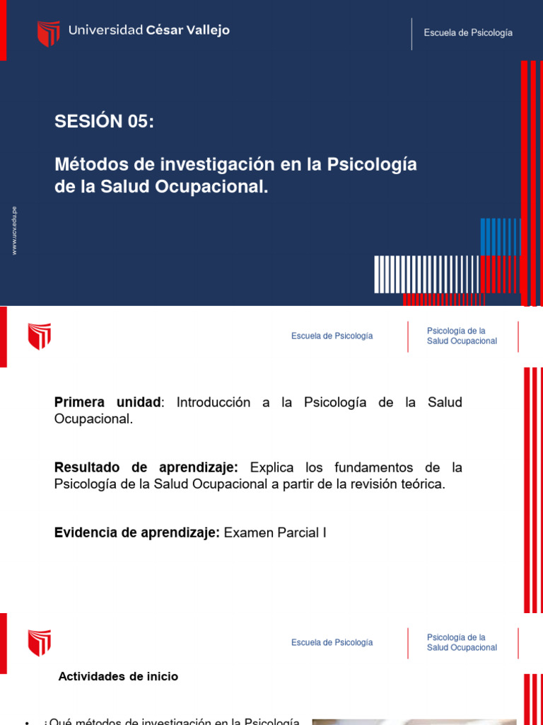 ANEXO - PPT Material Complementario - Semana 05 | PDF | Sicología | Observación