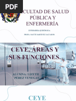 Croquis de Distribución y Características de La Central de Esterilización y Equipos (CEyE) | PDF ...