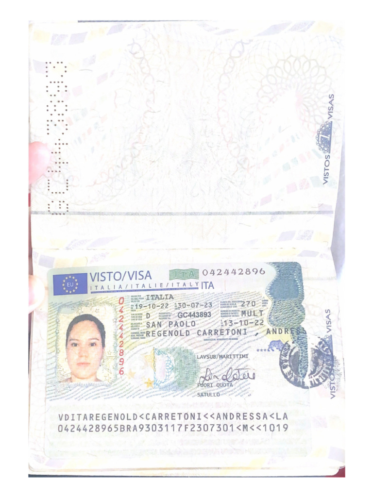 I Visto Visa | PDF