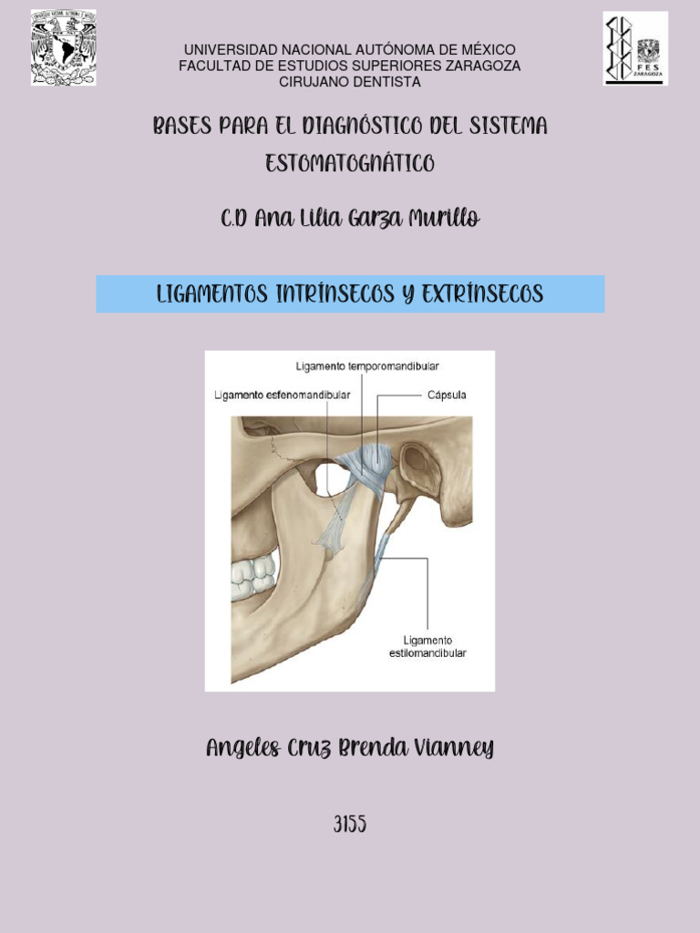 Ligamentos Intrínsecos y Extrínsecos | PDF | Anatomía | Anatomía humana