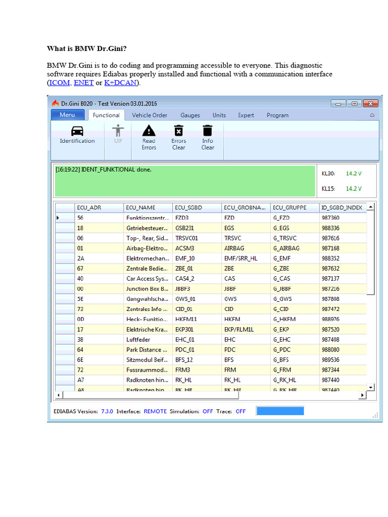 What Is BMW DR - Gini | PDF | Computers
