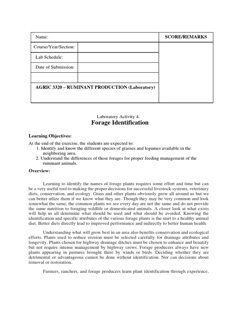 ANSCI 3320 LAB 4 - Forage Identification | PDF | Legume | Plants