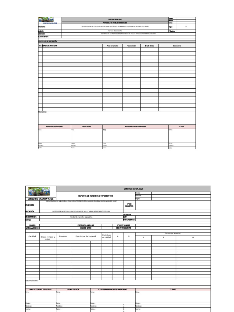 Formatos de Calidad CQA | PDF