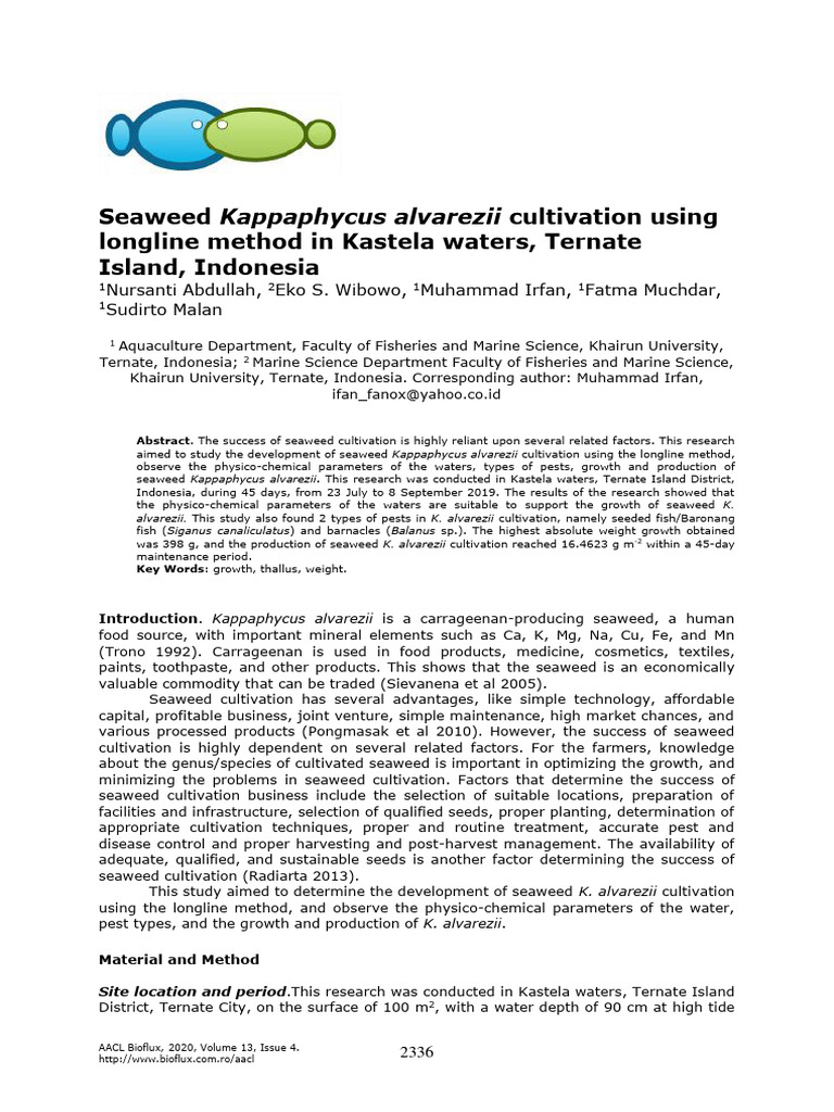 Seaweed Kappaphycus Alvarezii Cultivation Using Longline Method in ...