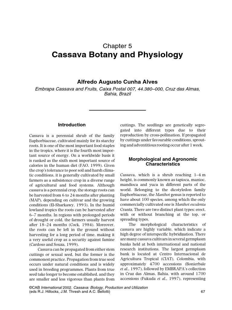 Cabi 08ch5 | PDF | Root | Leaf