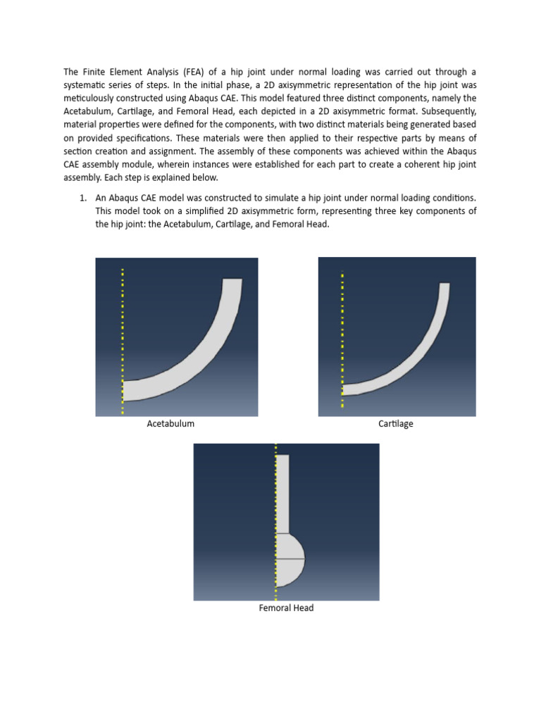 Hip Joint Report | PDF