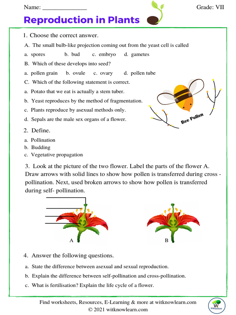 Reproduction in Plants Class 7 Worksheet 0 2021 04-05-114926 | PDF