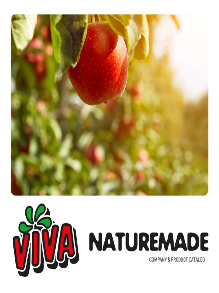 VIVA Company Product Catalog 2023 | PDF