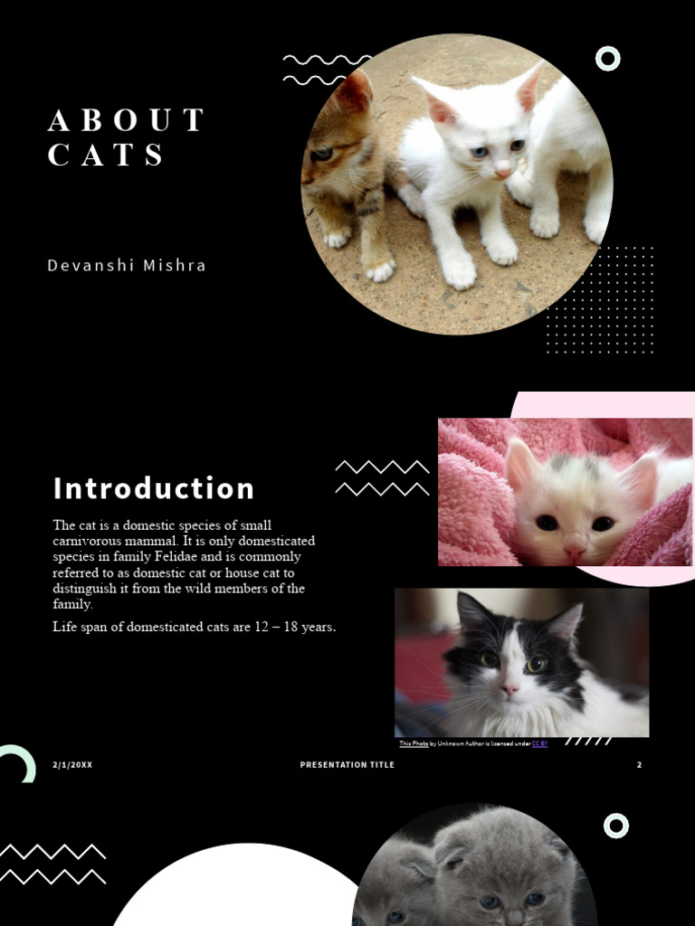 Cat Facts and Adoption Benefits | PDF | Home & Garden