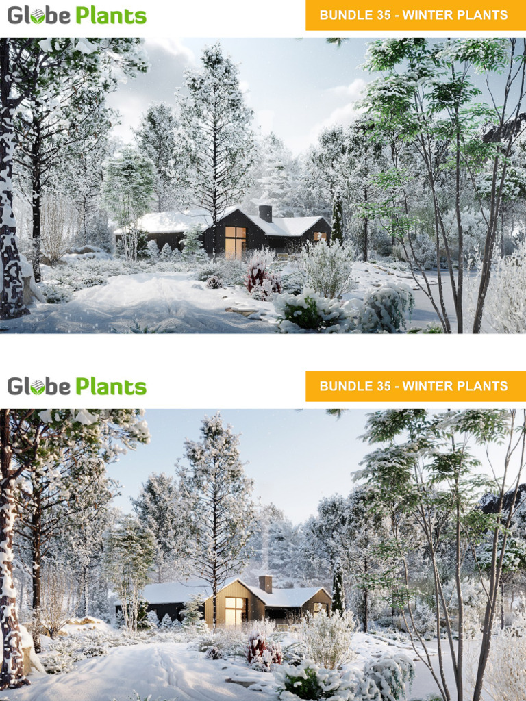 Bundle 35 Winter Plants | PDF