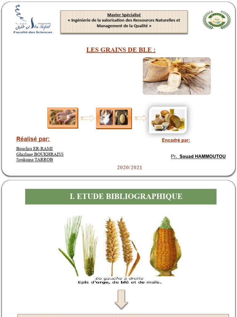 Transformation de Blé | PDF
