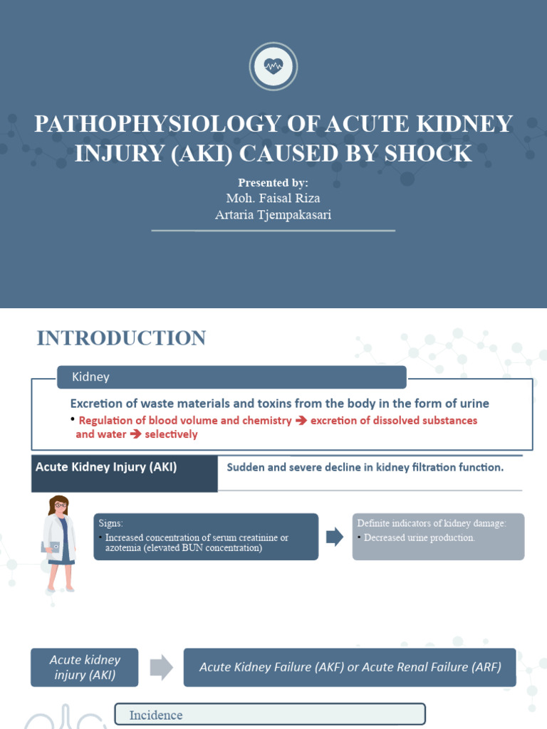 Acute Kidney Injury Pathophysiology | PDF | Endocrine System | Medicine