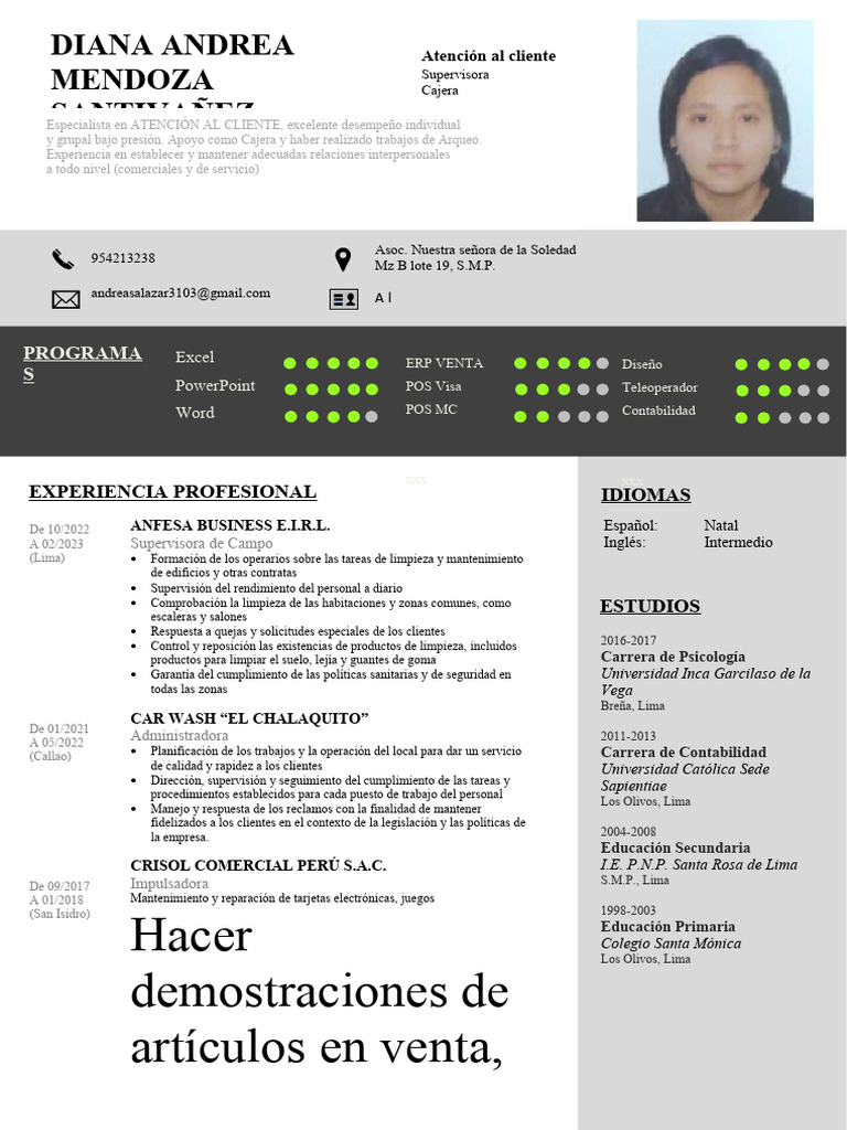 Formato CV | PDF | Business