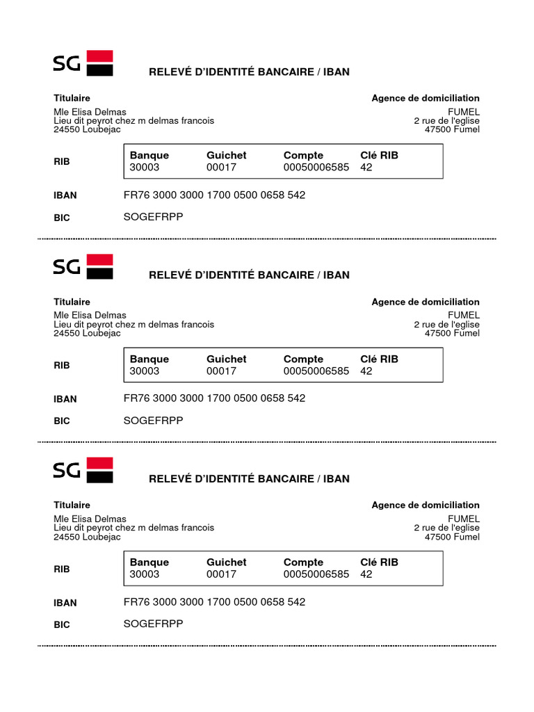 Exemple de RIB et IBAN bancaire | PDF