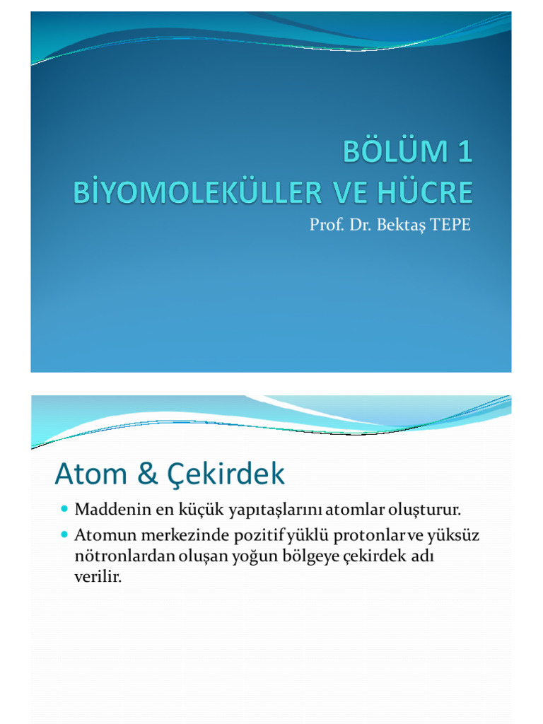 Bolum 1 Biyomolekuller Ve 2 | PDF