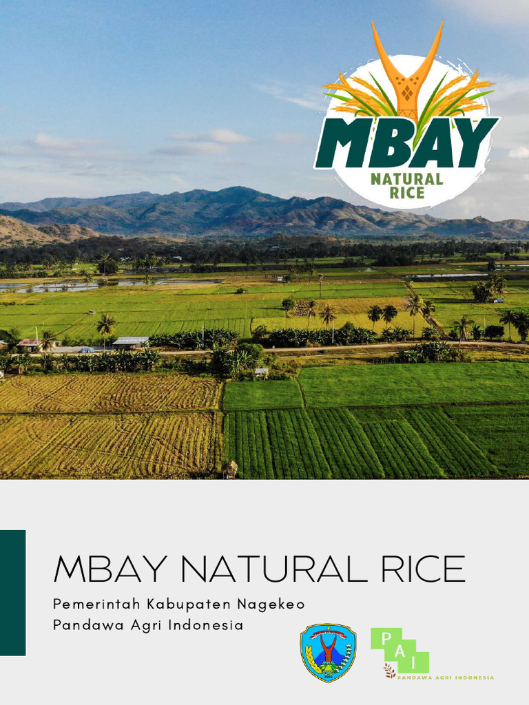 Beras Mbay: Inovasi Pertanian Nagekeo | PDF | Teknologi & Rekayasa
