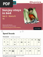 RWI Reading Books and Progression Guide | PDF