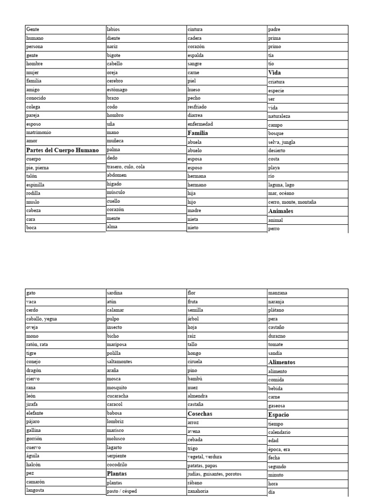 1000 Palabras Comunes en Español | PDF