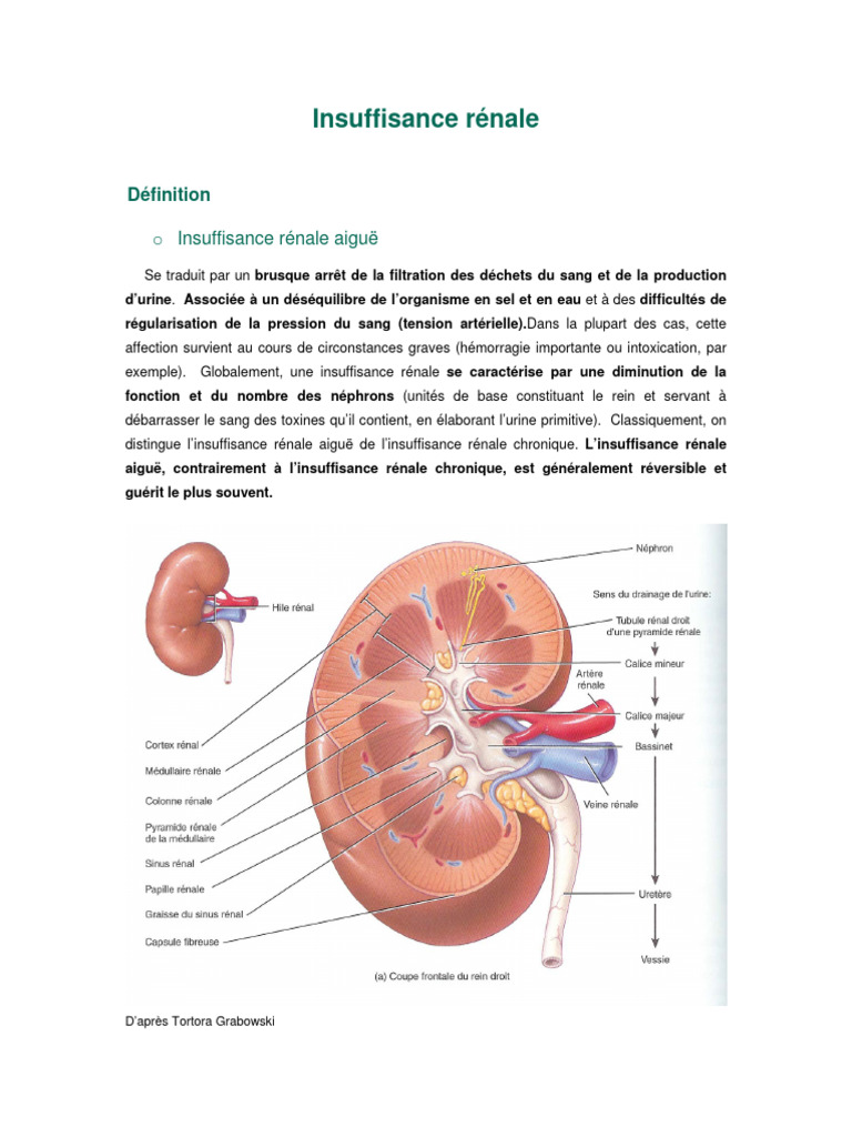 Définition de l'insuffisance rénale aiguë | PDF | Rein | Insuffisance ...