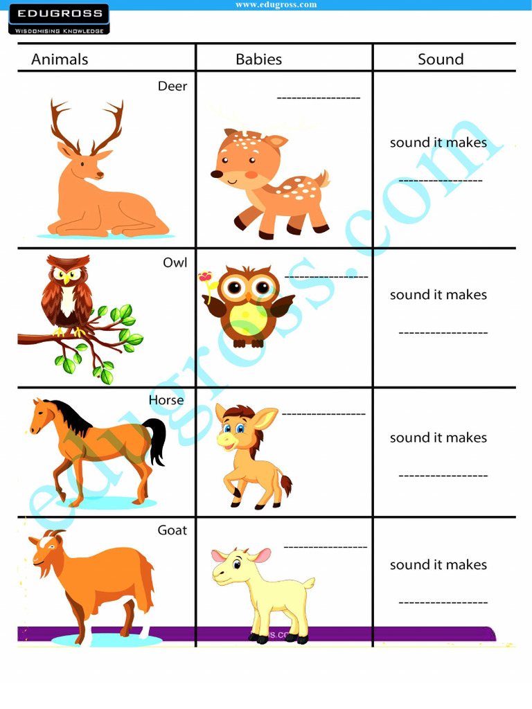 CBSE Sample Paper For Class 2 English Set 2 Er | PDF