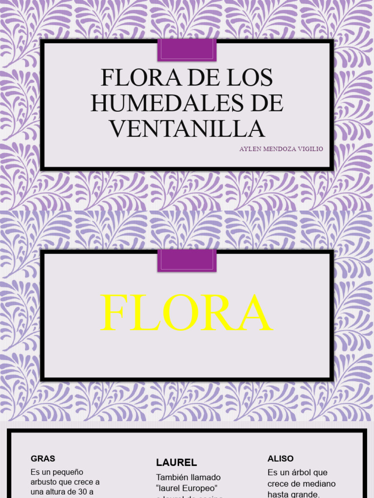 Flora de los Humedales de Ventanilla | PDF