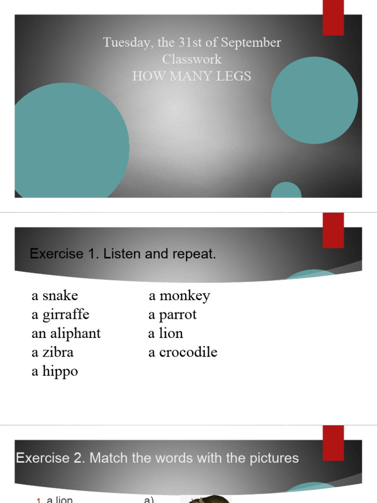 How Many Legs | PDF