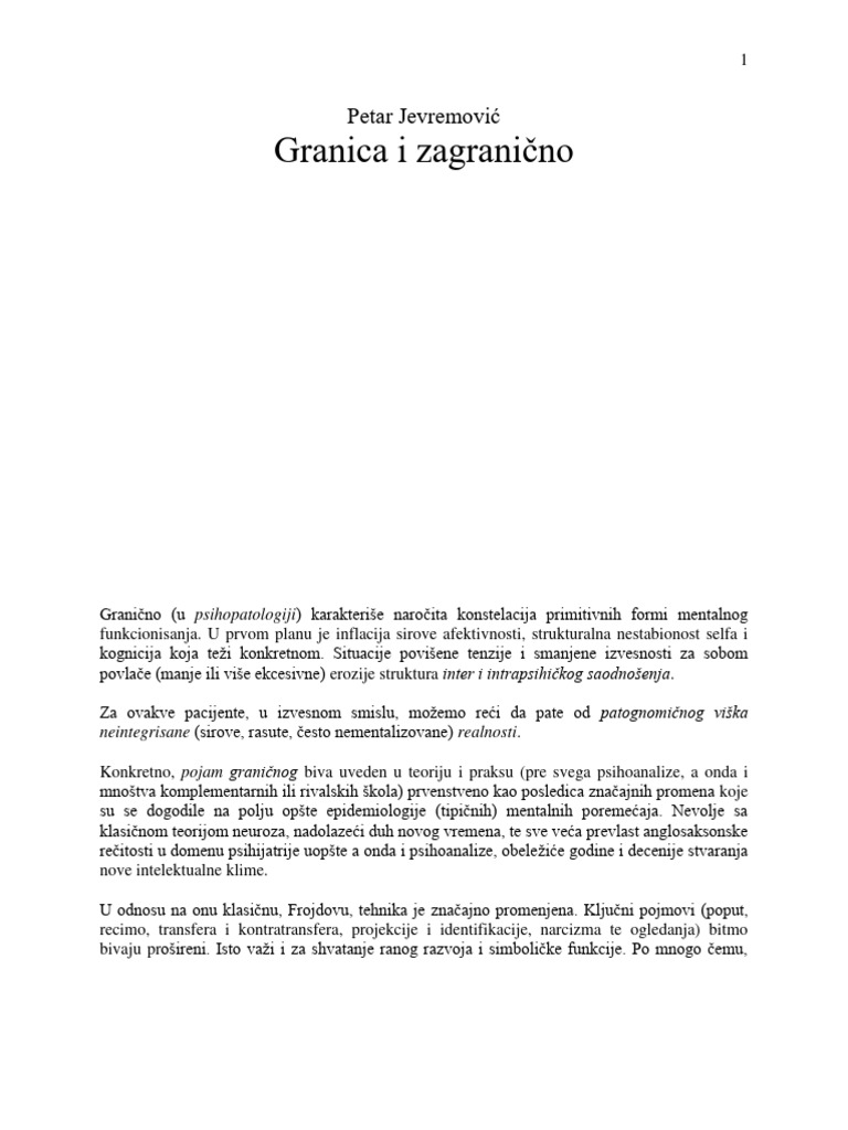 Petar Jevremovic Granica I Zagranicno | PDF