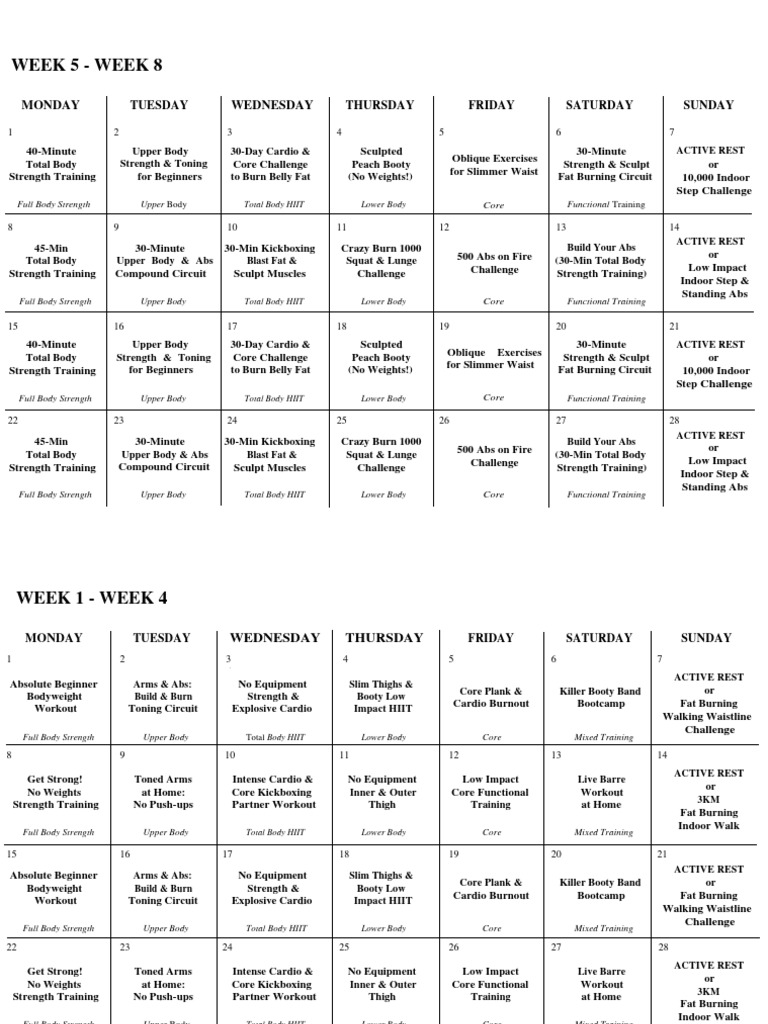 Plan | PDF | Strength Training | High Intensity Interval Training