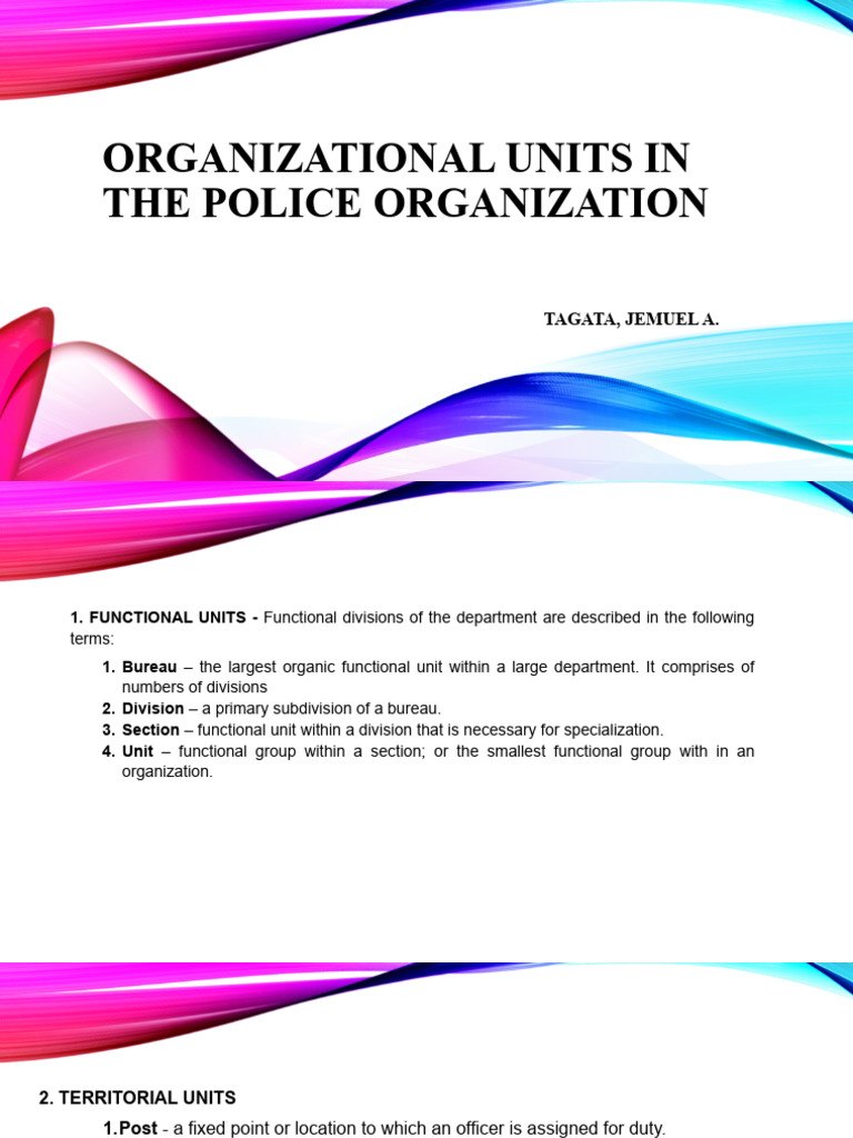 Organizational Units in The Police Organization | PDF