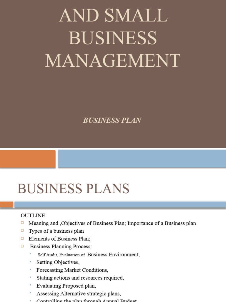 ENTREPRENEURSHIP AND SMALL BUSINESS MANAGEMENT NOTES BUSINESS PLAN ...