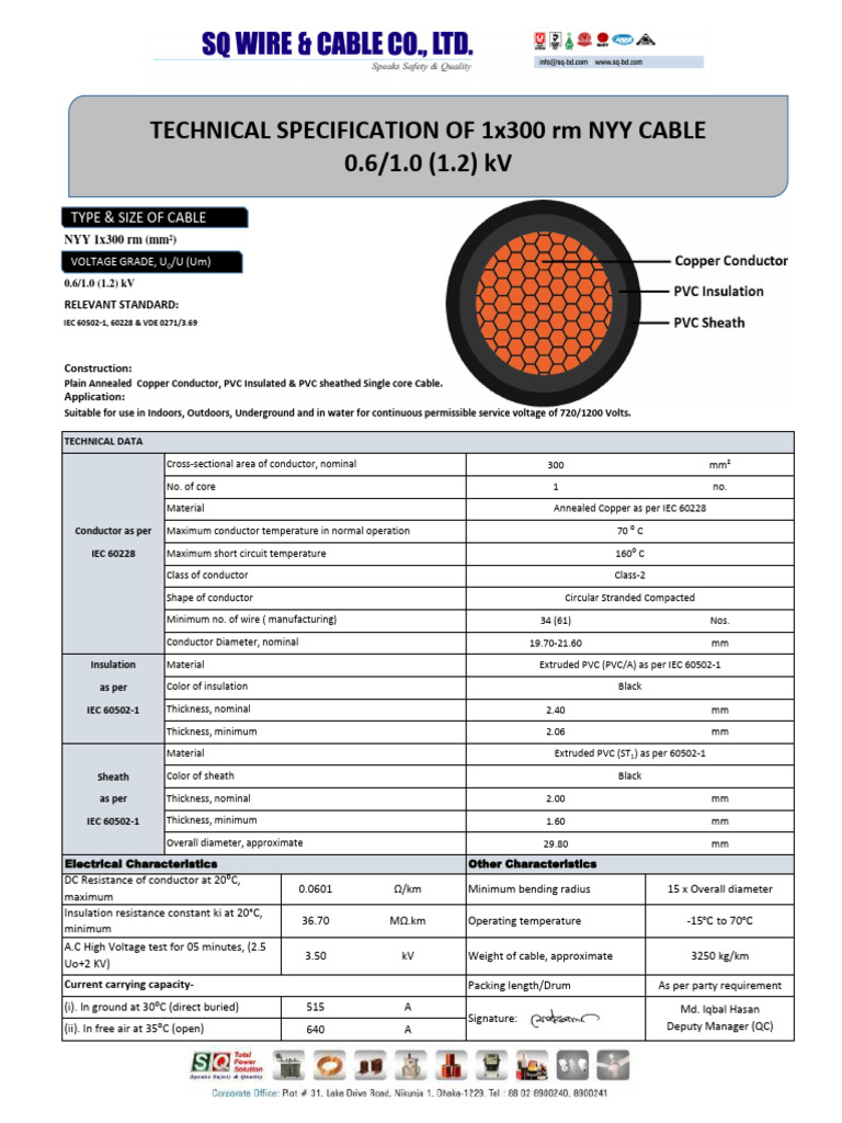 1x300 RM NYY | PDF | Electrical Conductor | Insulator (Electricity)