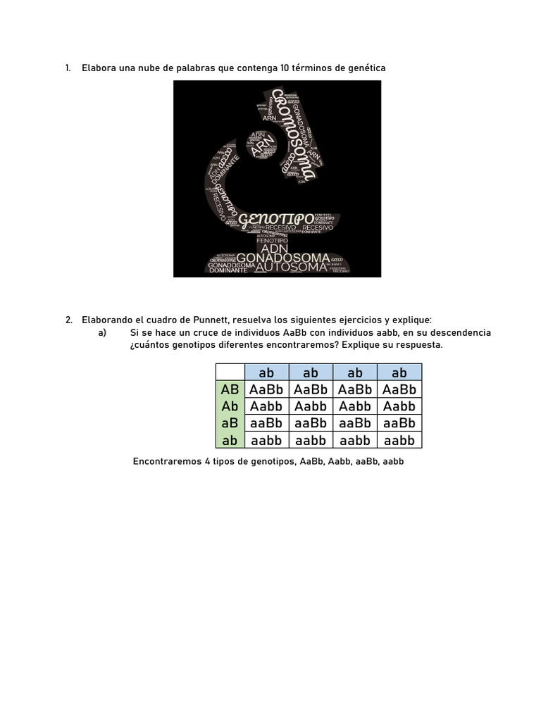 Ejercicios de Genética y Herencia | PDF