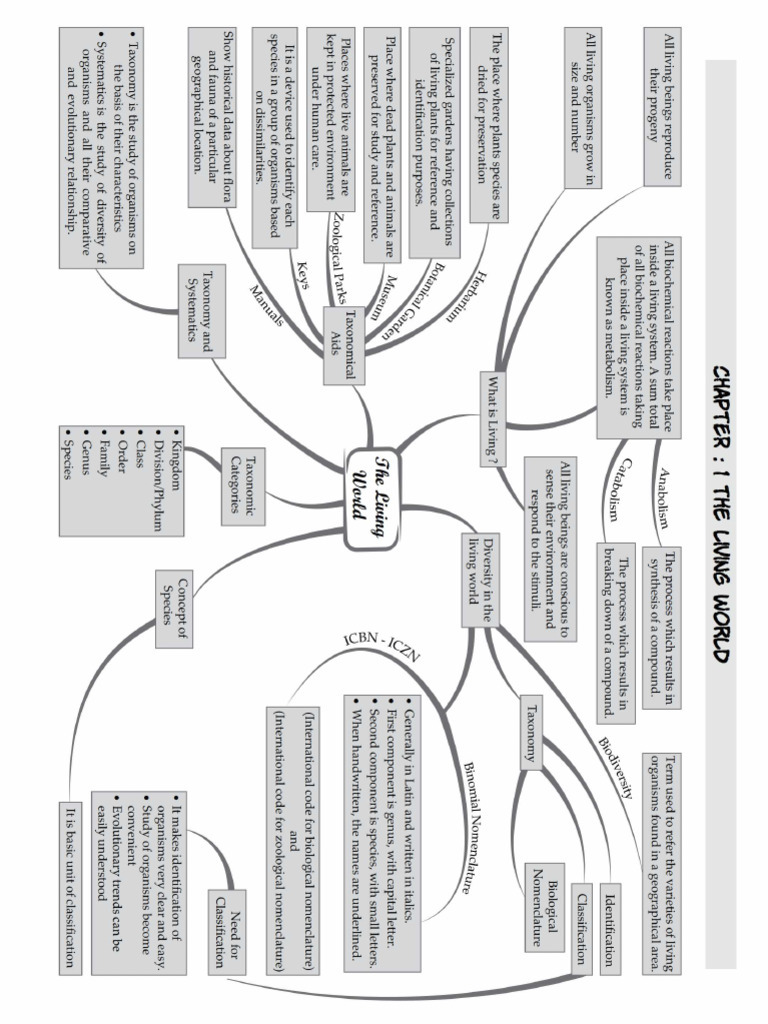 Class 11th Biology For NEET Mind Maps | PDF