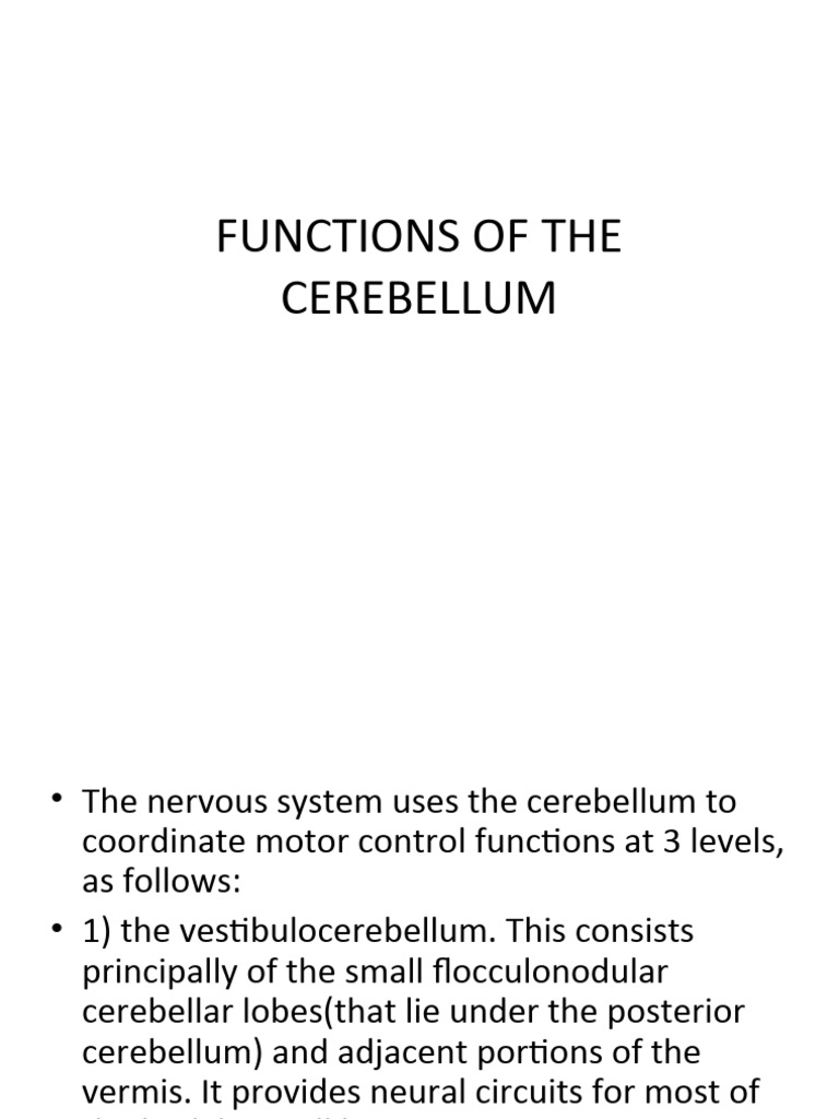 Functions of The Cerebellum | PDF | Cerebellum | Neurological Disorders