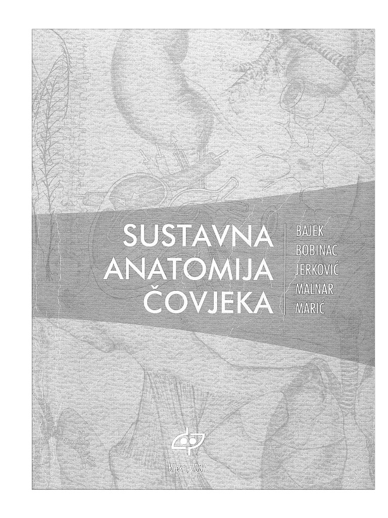 Sustavna Anatomija Čovjeka | PDF