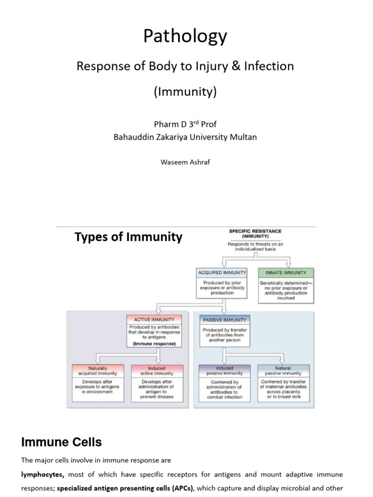 Immune Cells | PDF