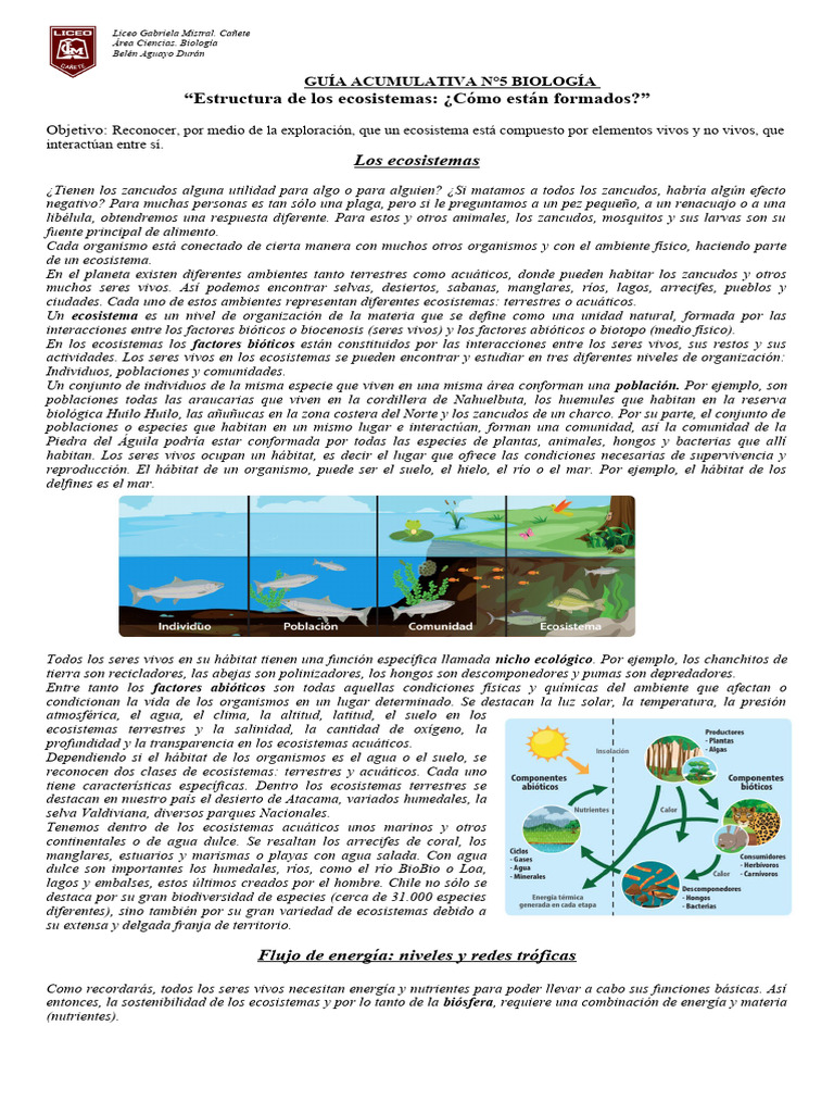 Guia 5 Ecosistemas | PDF | Red alimentaria | Ecosistema