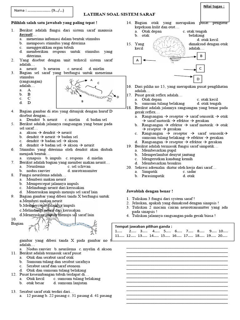 Latihan Soal Sistem Saraf | PDF
