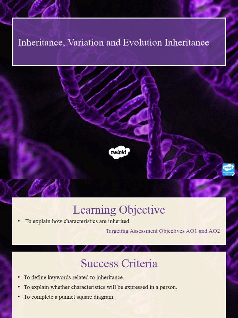 Inheritance Lesson Presentation | PDF | Genotype | Dominance (Genetics)