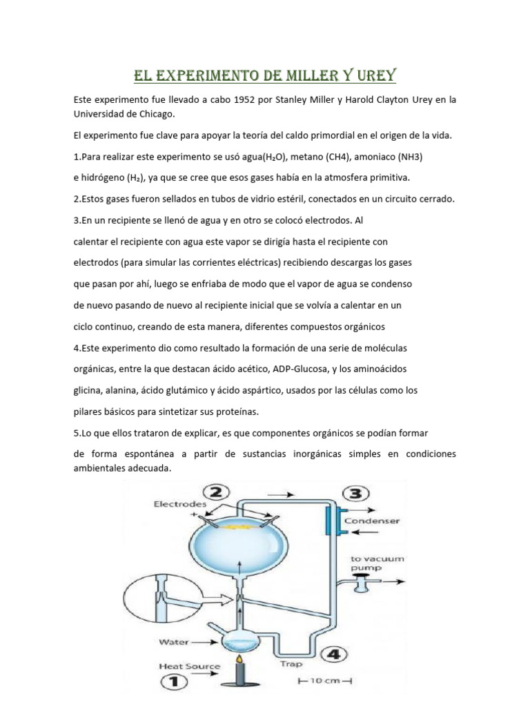 El Experimento de Miller y Urey | PDF