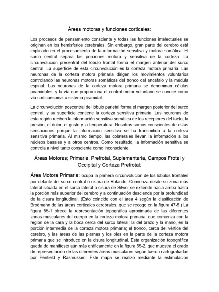Áreas Motoras y Funciones Corticales | Descargar gratis PDF | Cerebro ...
