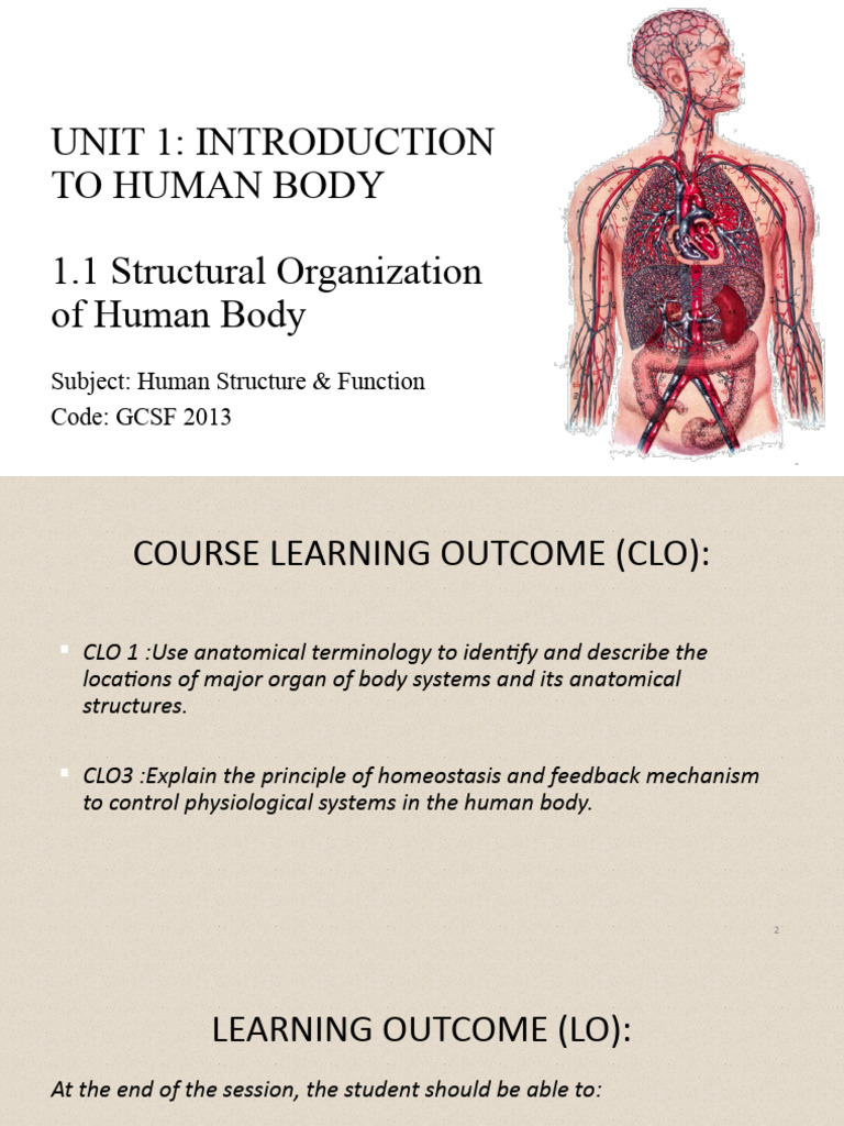 1.1 Structural Organization of Human Body | PDF